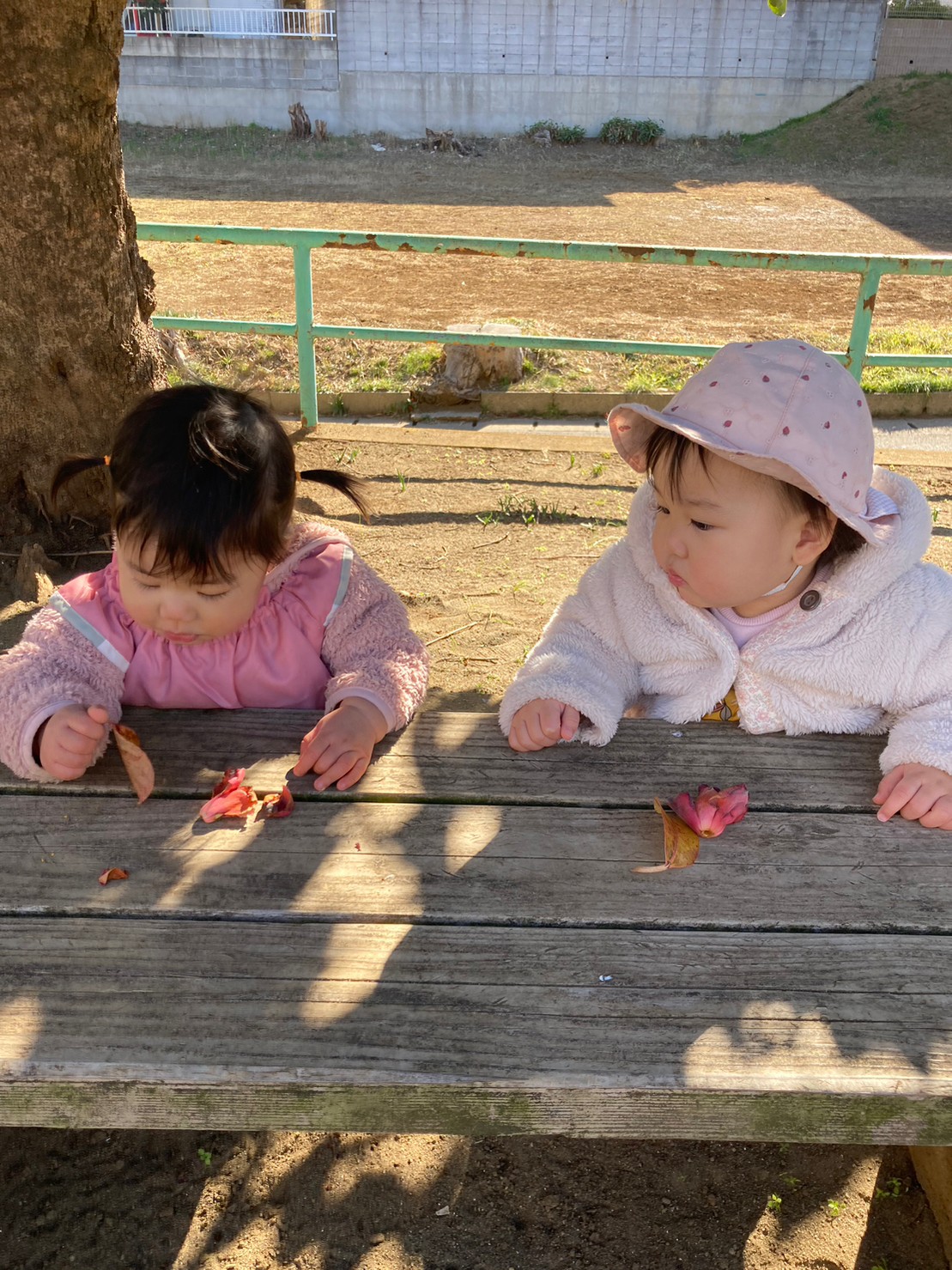 令和5年度 ちるるのベビークラス「ちるベビ」 | おやこぷれいす ちるる